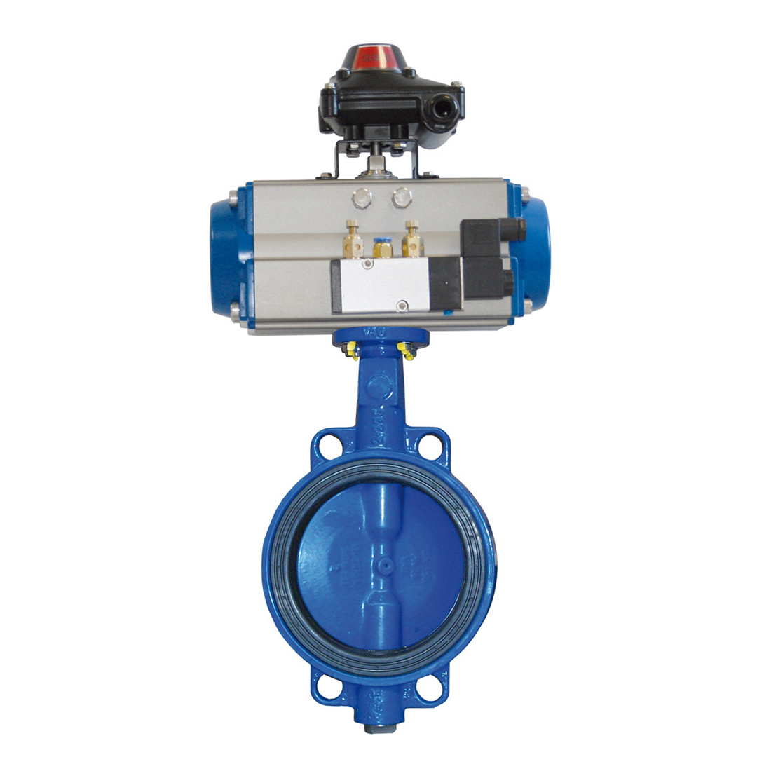 Pneumatic Butterfly Valve - S P Engineering Works